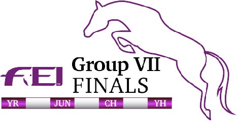 FEI Group VI Points | Equine Solutions
